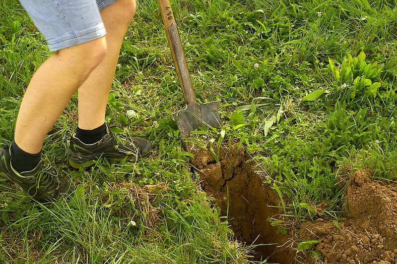 Den Bodenzustand beurteilen mit der BodenDok-Spatenprobe